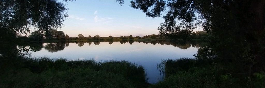 Дима НеОтМира