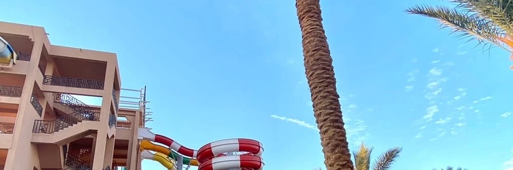 Алёна Чайка