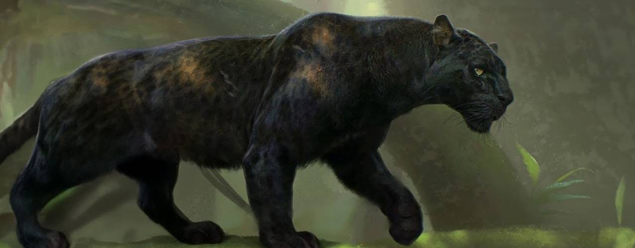 Антон Новиков