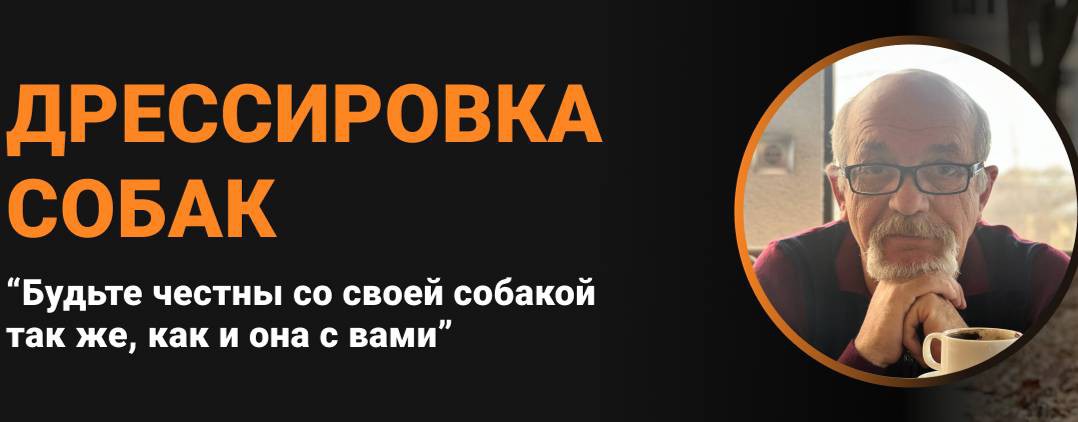 ДРЕССИРОВКА СОБАК СЕРГЕЙ СВИДЕЛЬСКИЙ