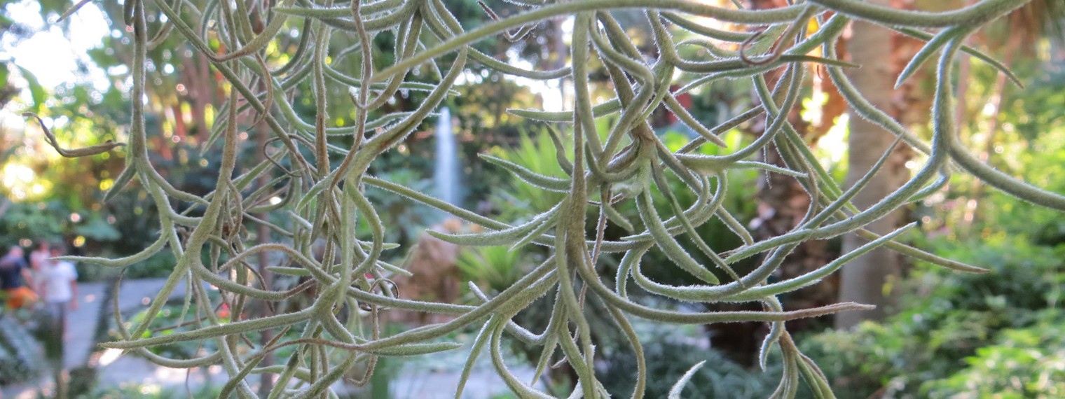 Студия анимации Вомбат