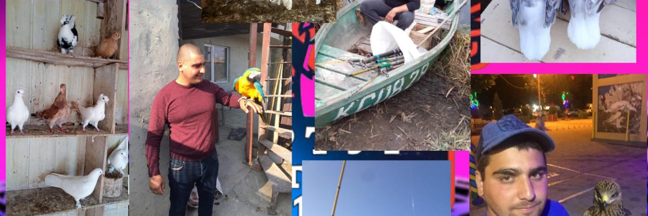 Камо Варданян