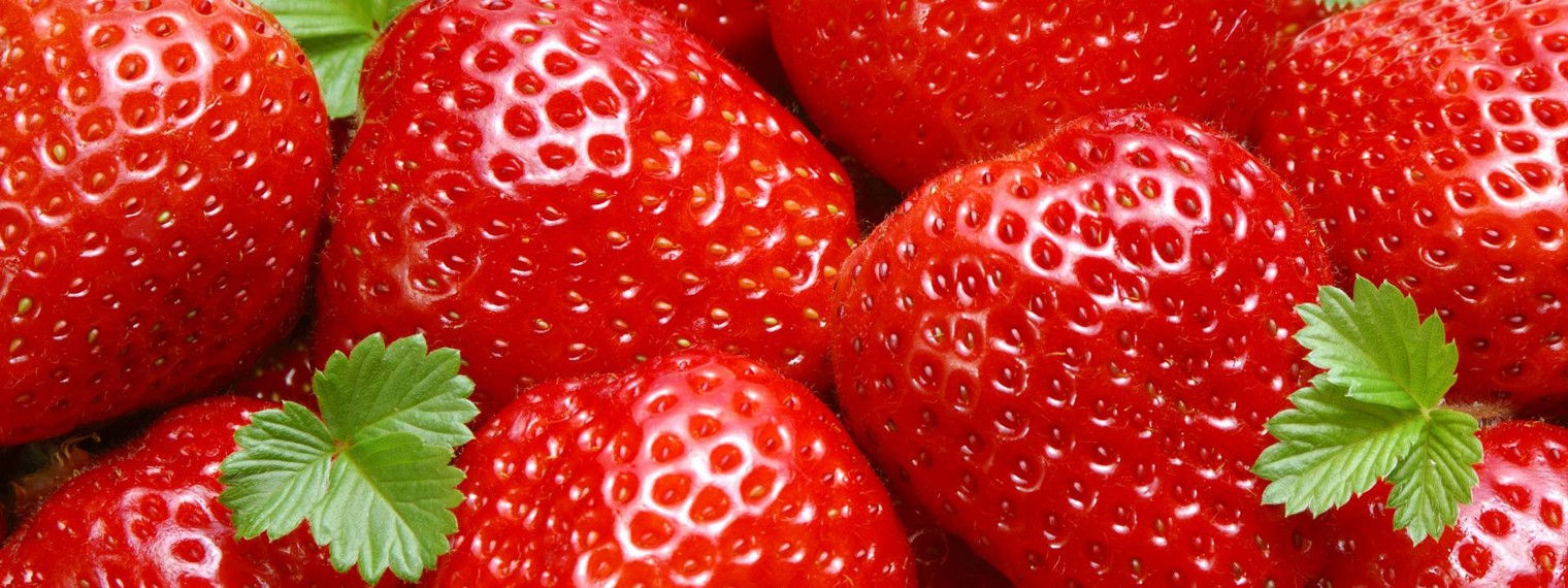 Клубника Сибири