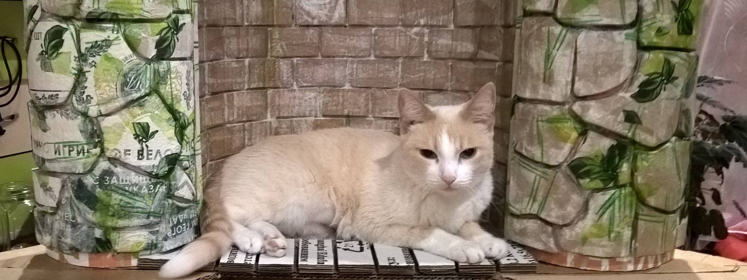 Творческий океан