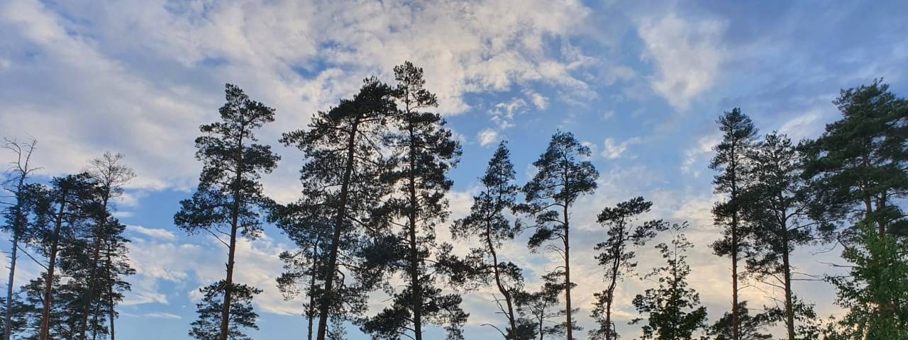 Канал Алексея Тарбастаева