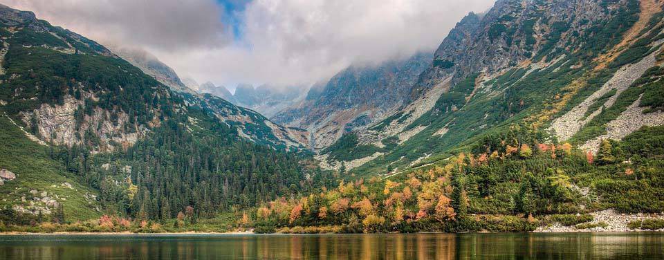 Gaming Universe - game streams