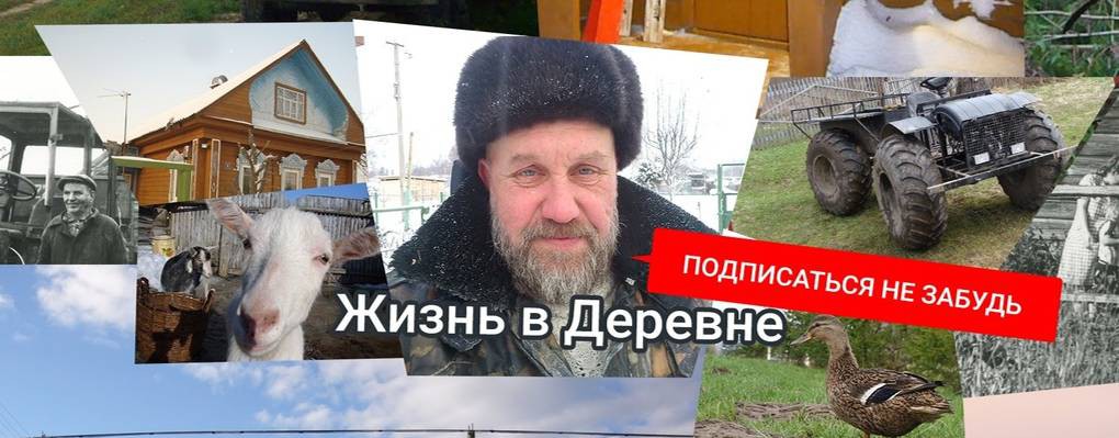 Мишкина Деревня