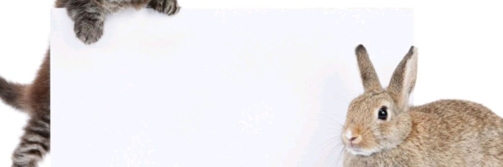 Цитаты жизни