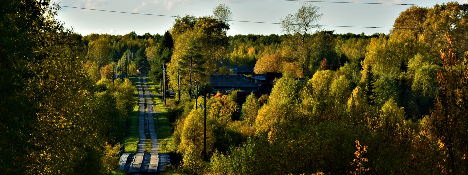 Андрей  Генинг.