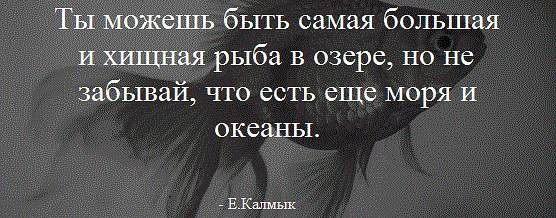 Евгений Калмык