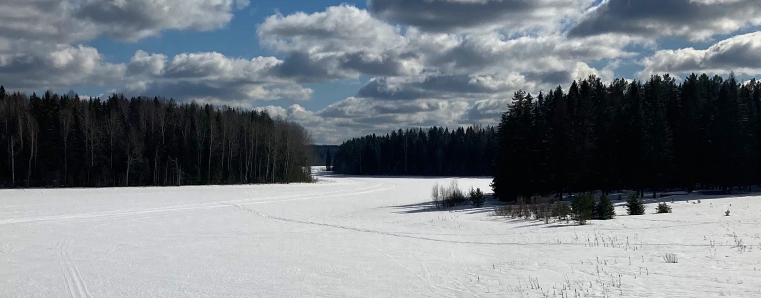 Андрей Худяков