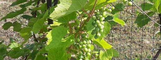 ПОНЕМНОГУ ОБО ВСЁМ