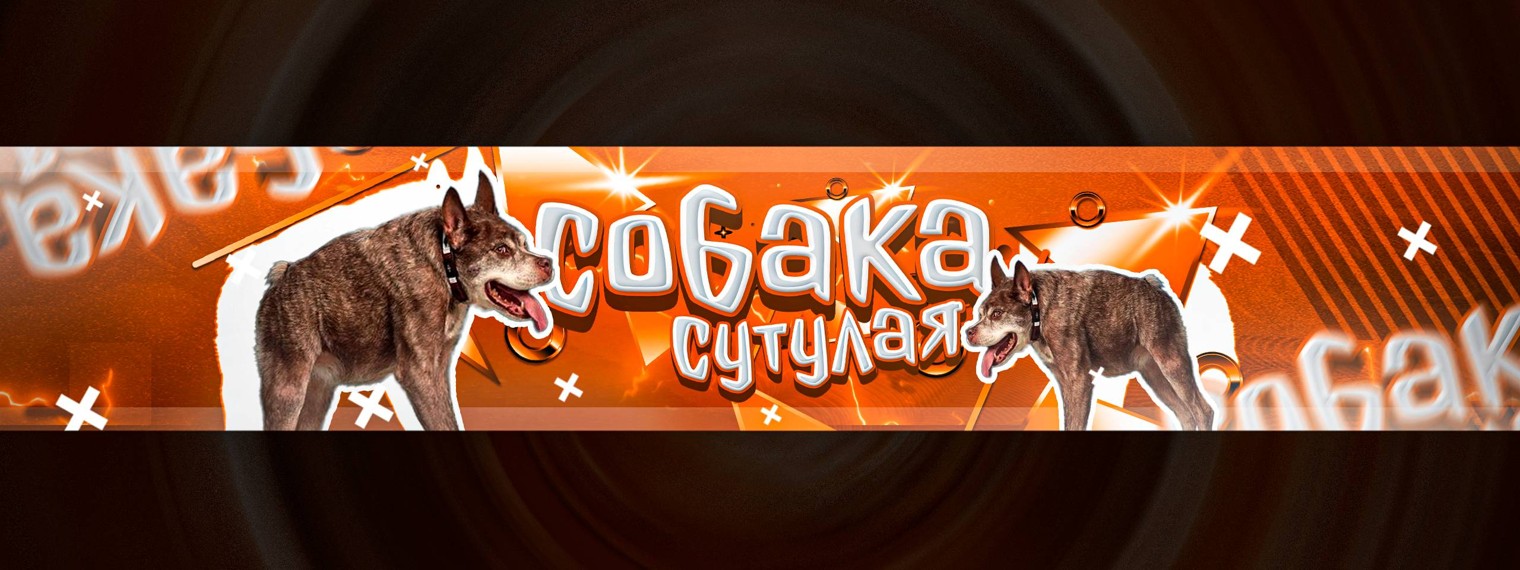 собака сутулая