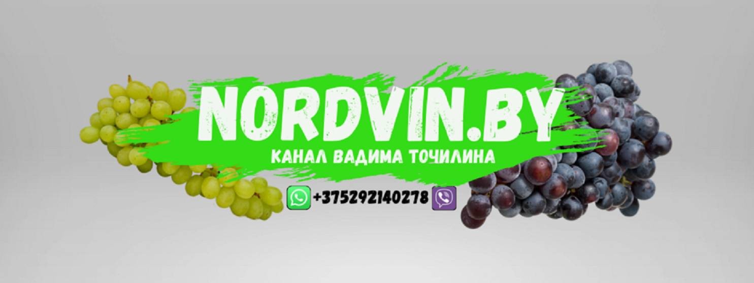 Вадим Точилин