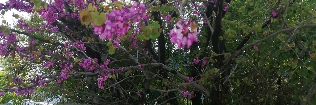 #дядяколясибиряк