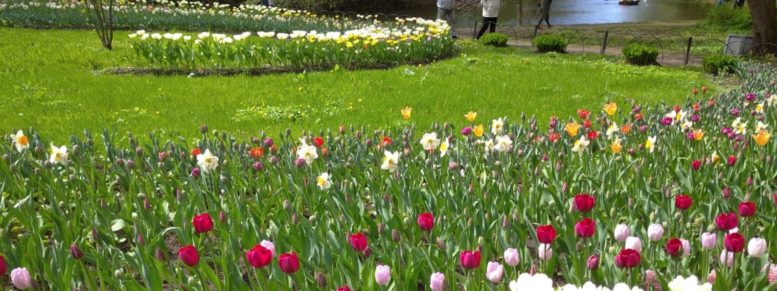 Надежда Овчинникова