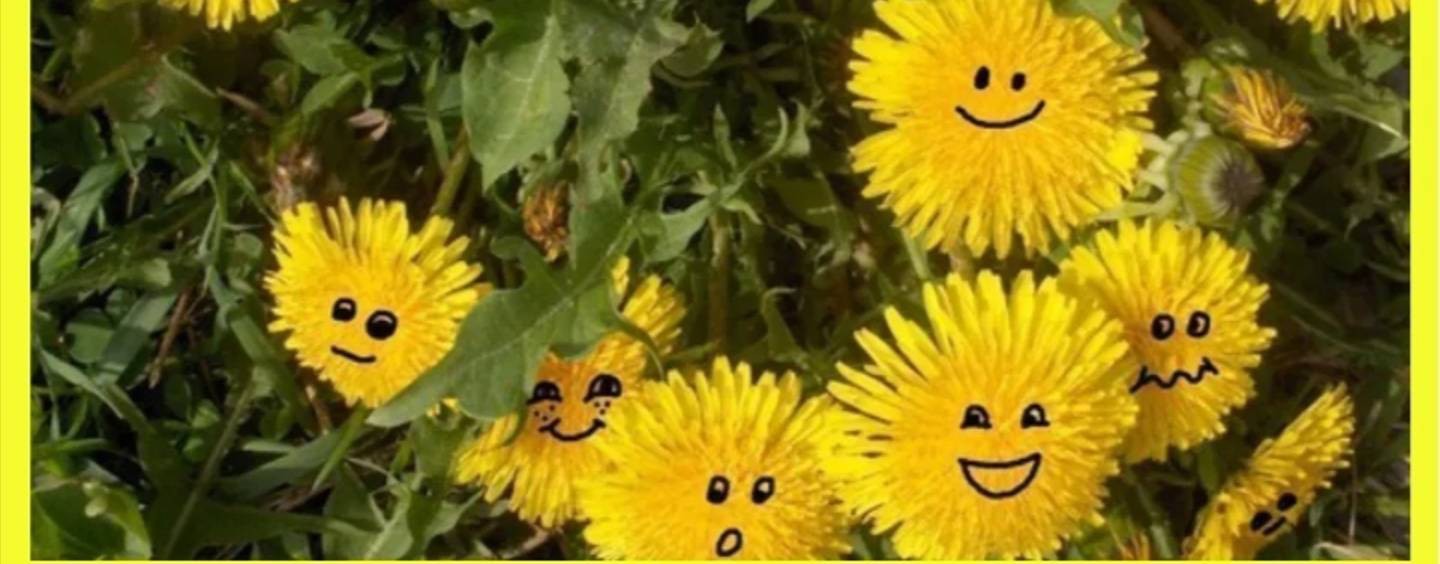 🌿 Всякое - Разное🌿
