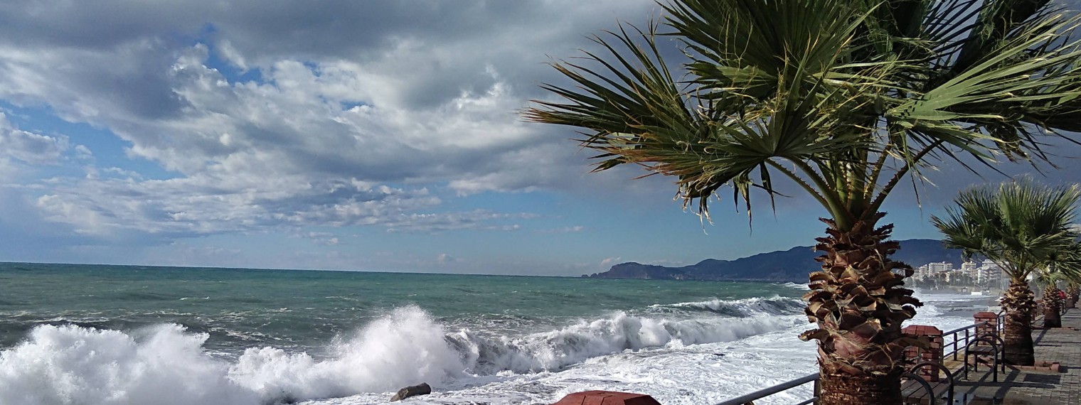 Светлана Алания