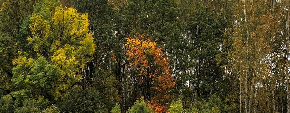 Владимир Анатольевич