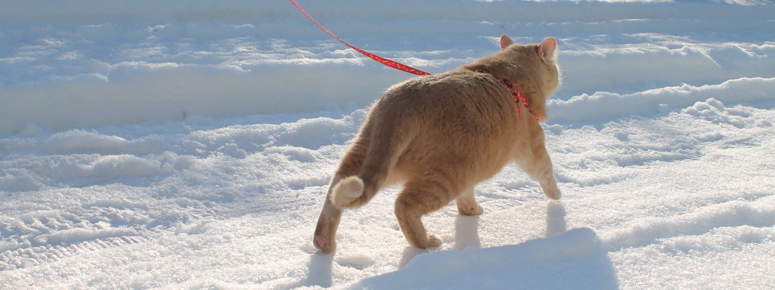 Мастерская Анны Валериевны