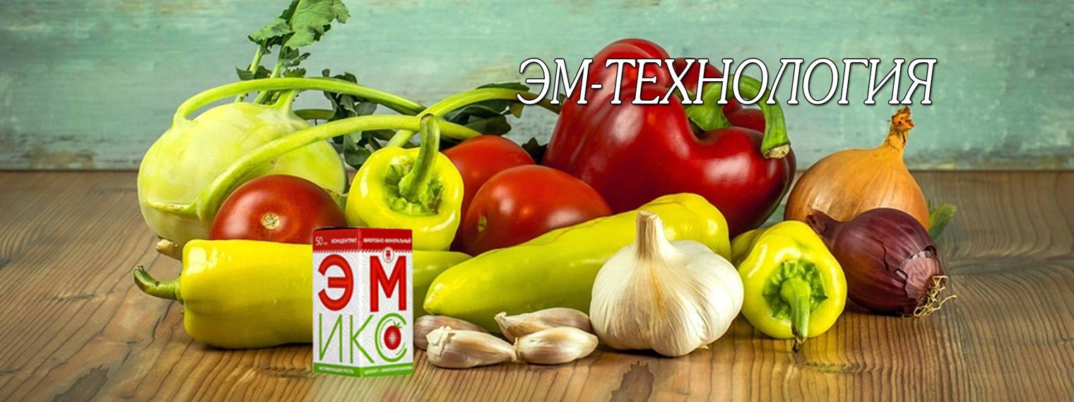 НПО Арго ЭМ-1