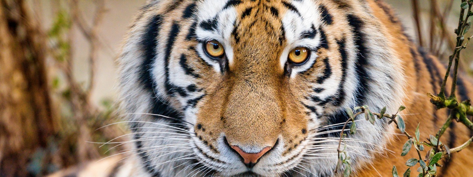 Евгений В.М.