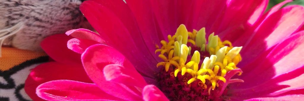 Басики и Рыжик❤️