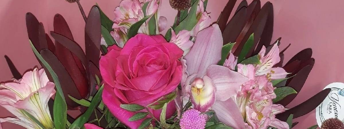 Я и мой маленький мир.