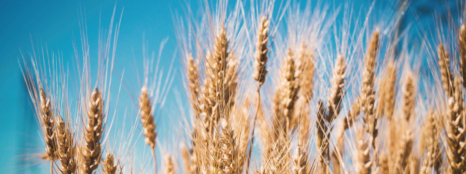 КАТТ Курганинск