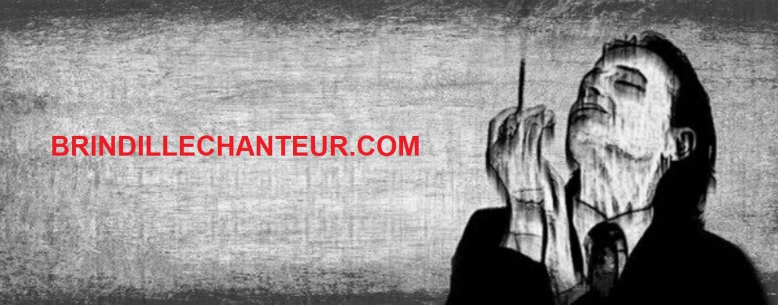 Brindille - French Cabaret Singer