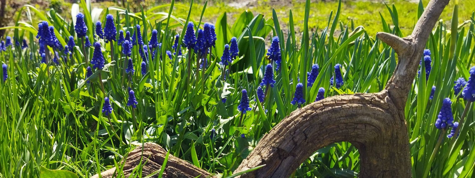 Строим путешествуем мастерим