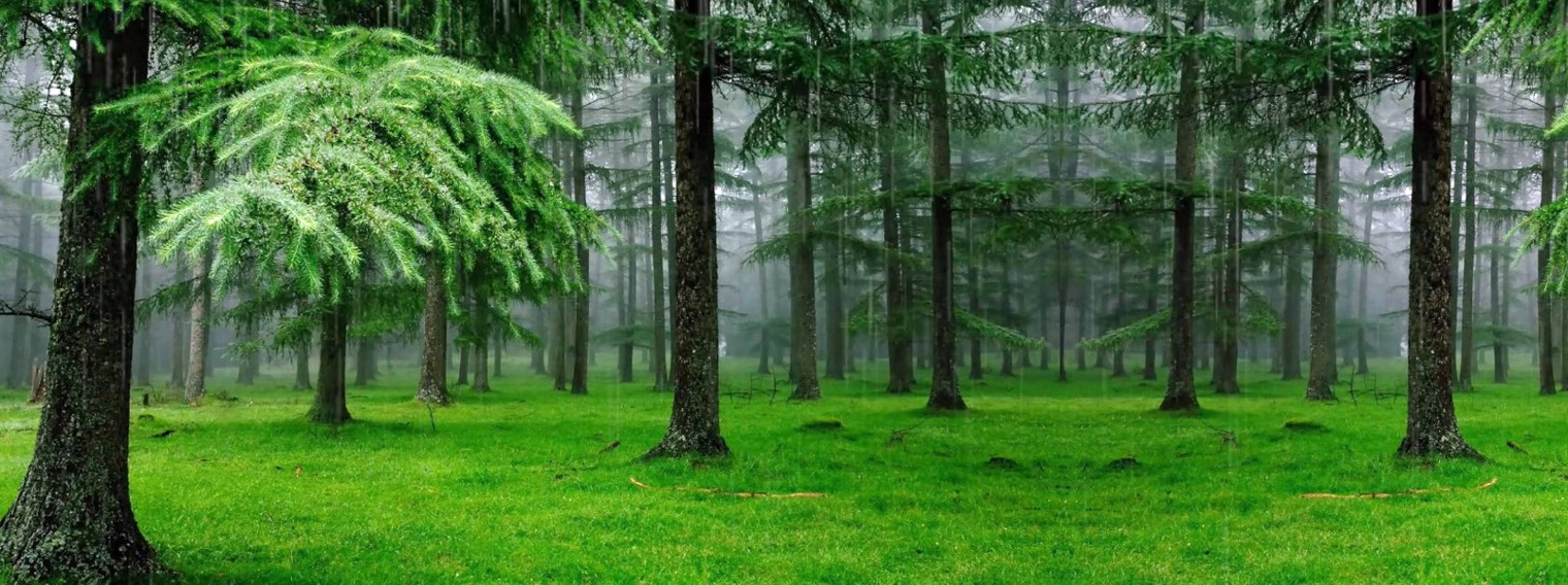 Н.И.У.!!! За Патриотизм!!!