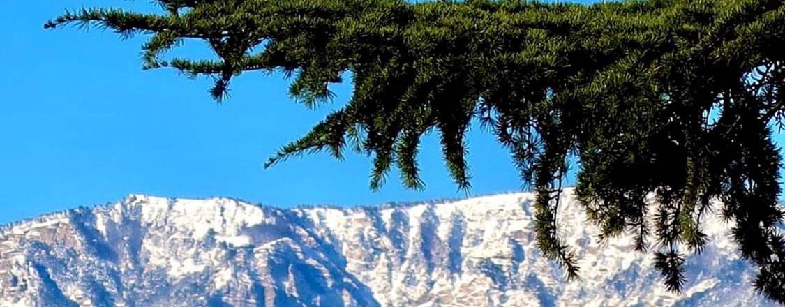 ЯЛТА сегодня. КРЫМ - 2026.