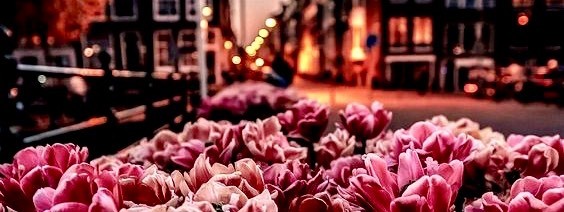 Наши Любопышки все обо всем