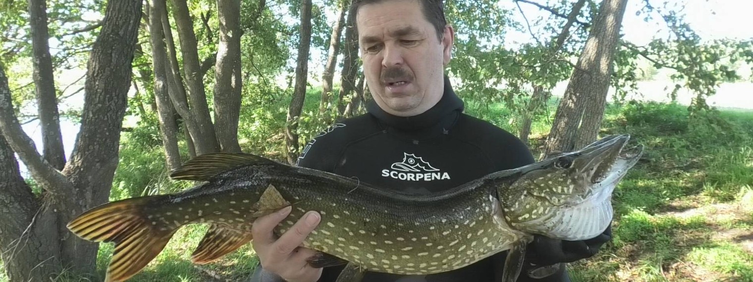 Андрей Ерёмин ЕАВ