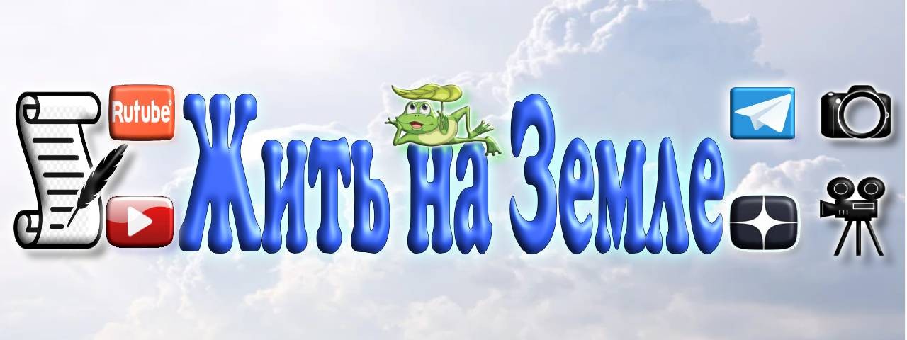 Жить на Земле