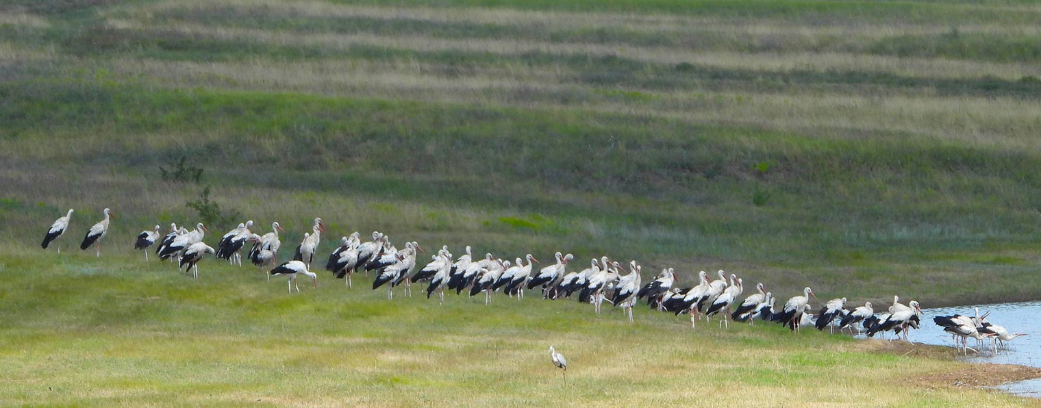Ближе к природе (Closer to nature)