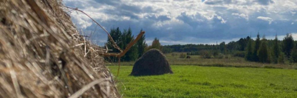 Сибирячка 40+