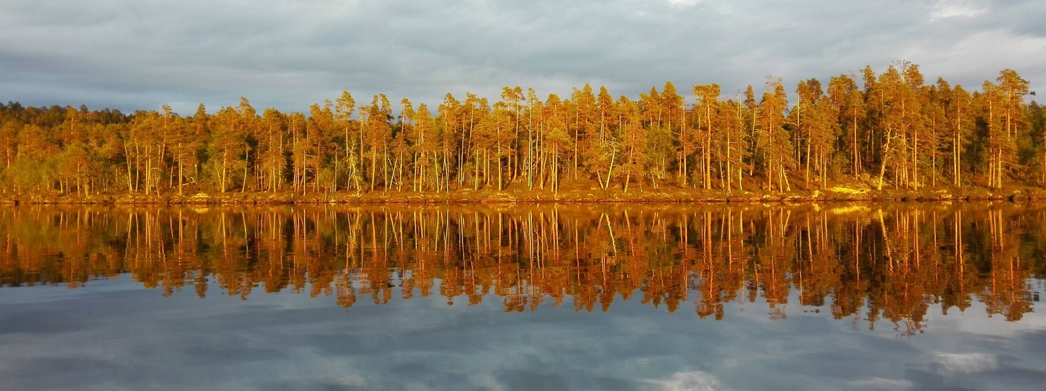 Федор Вячеславов