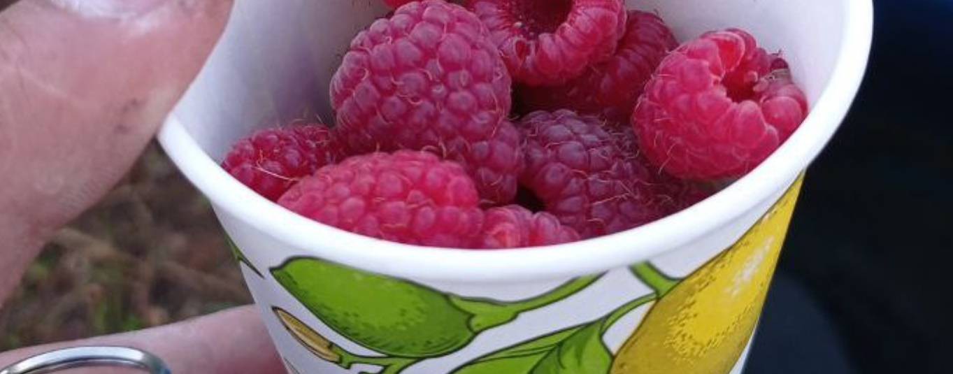 сМируПоНитке