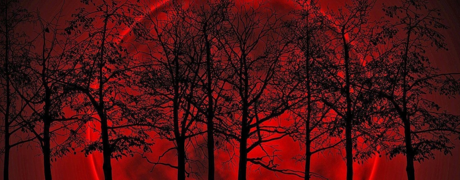 Ольга Лотус † Страшные истории †