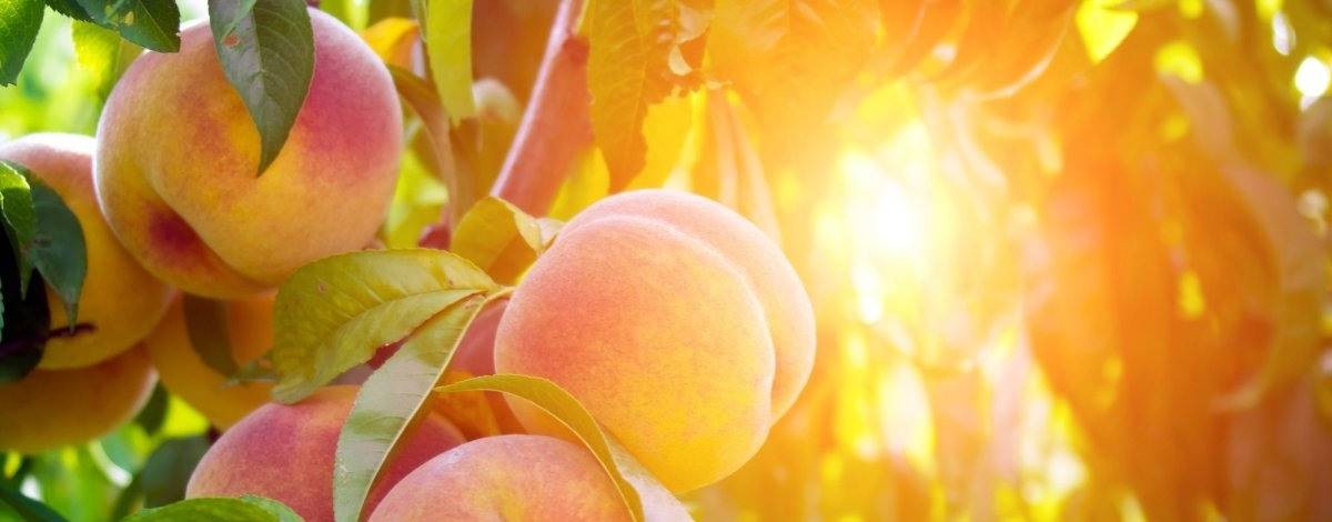 Южанка Светлана