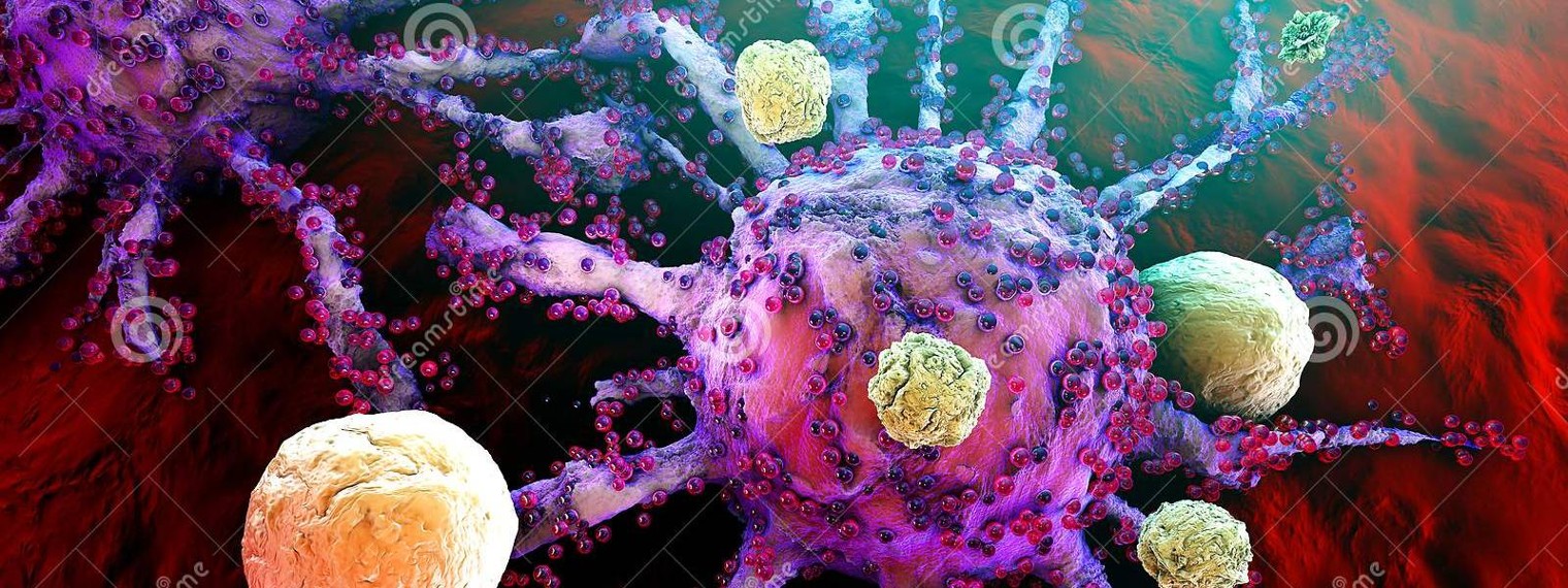 Аллерголог-иммунолог Логина Надежда Юрьевна (АЛТ)