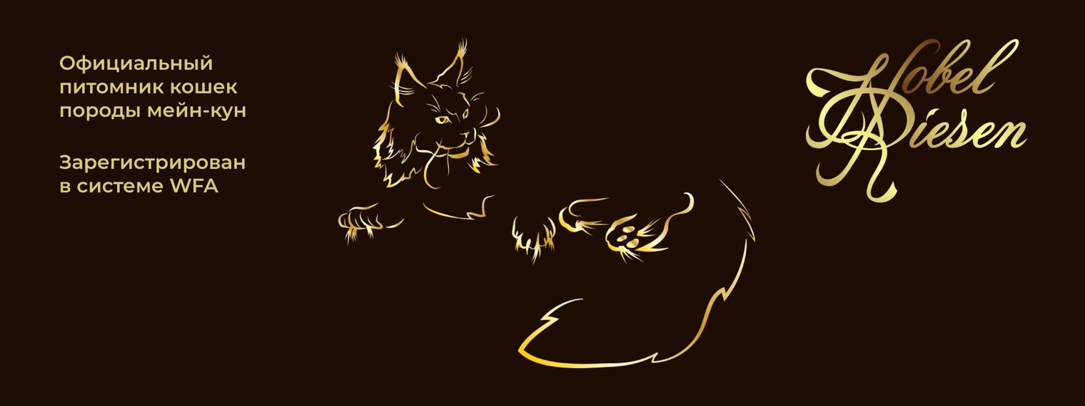 NobelRiesenRU | мейн-куны питомник