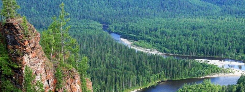 Мастерская Тайги