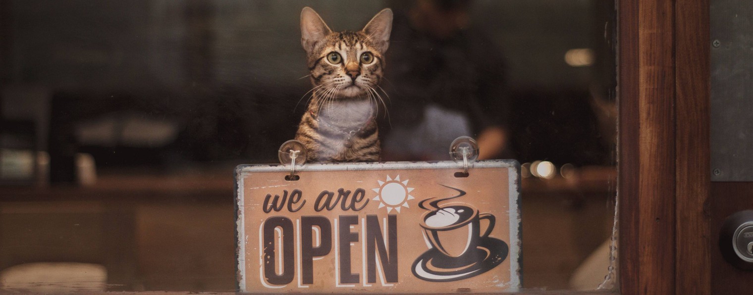 Ivan Zavarzin [Official Channel]