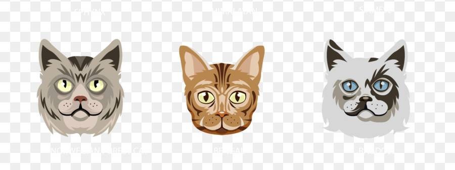 ЛУЧШИЕ МЯУ МЯУ