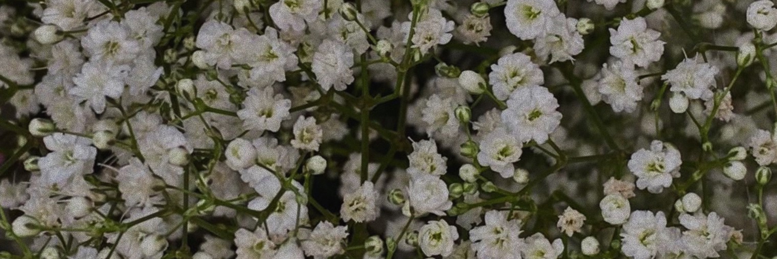 Юлия Петрова