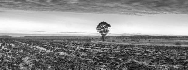 Русское Поле - концептуальный клуб