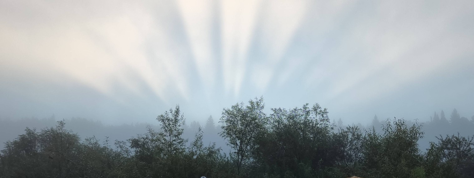 ФИЛИППЫЧ и КО